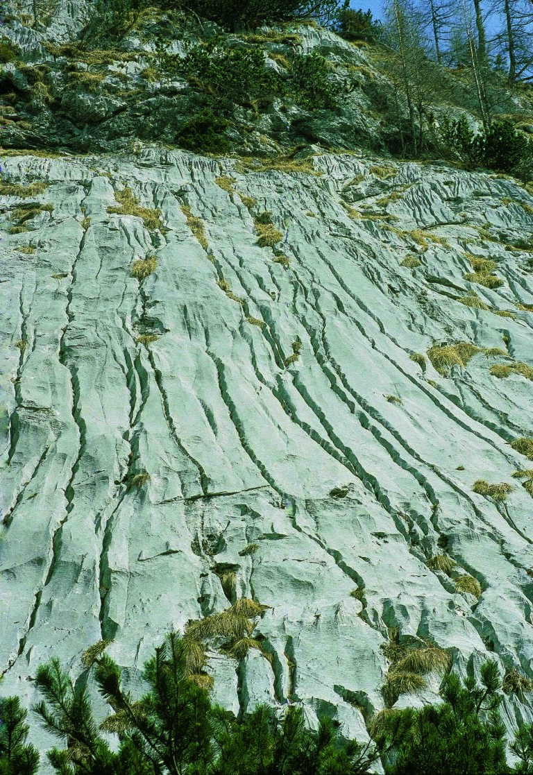 Carsismo - Geoparco Alpi Carniche