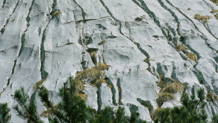 Karren - Geoparco Alpi Carniche