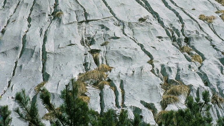 Karren - Geoparco Alpi Carniche