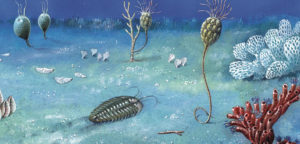 Paleozoic Era: Ordovician - Geoparco Alpi Carniche