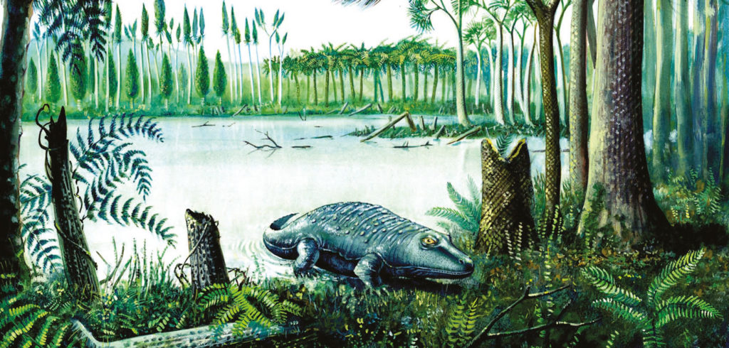 Paläozoikum: Karbon - Geoparco Alpi Carniche