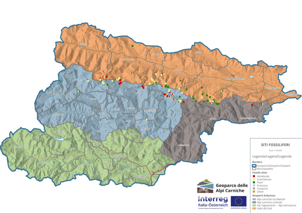 Paleontology - Geoparco Alpi Carniche