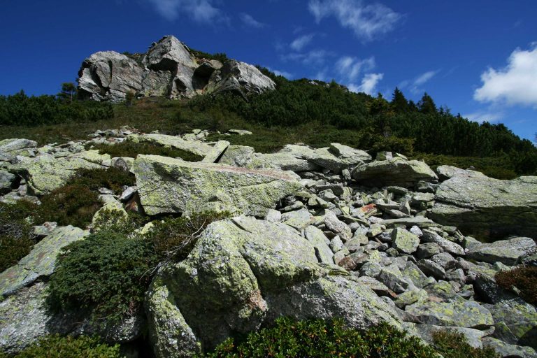 Fusulinid-bearing limestone pebble conglomerates - Geoparco Alpi Carniche